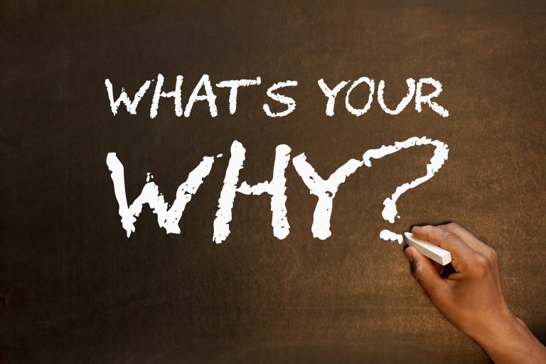 Unraveling "What" and "Why" in Data Science: Phases and Their ...